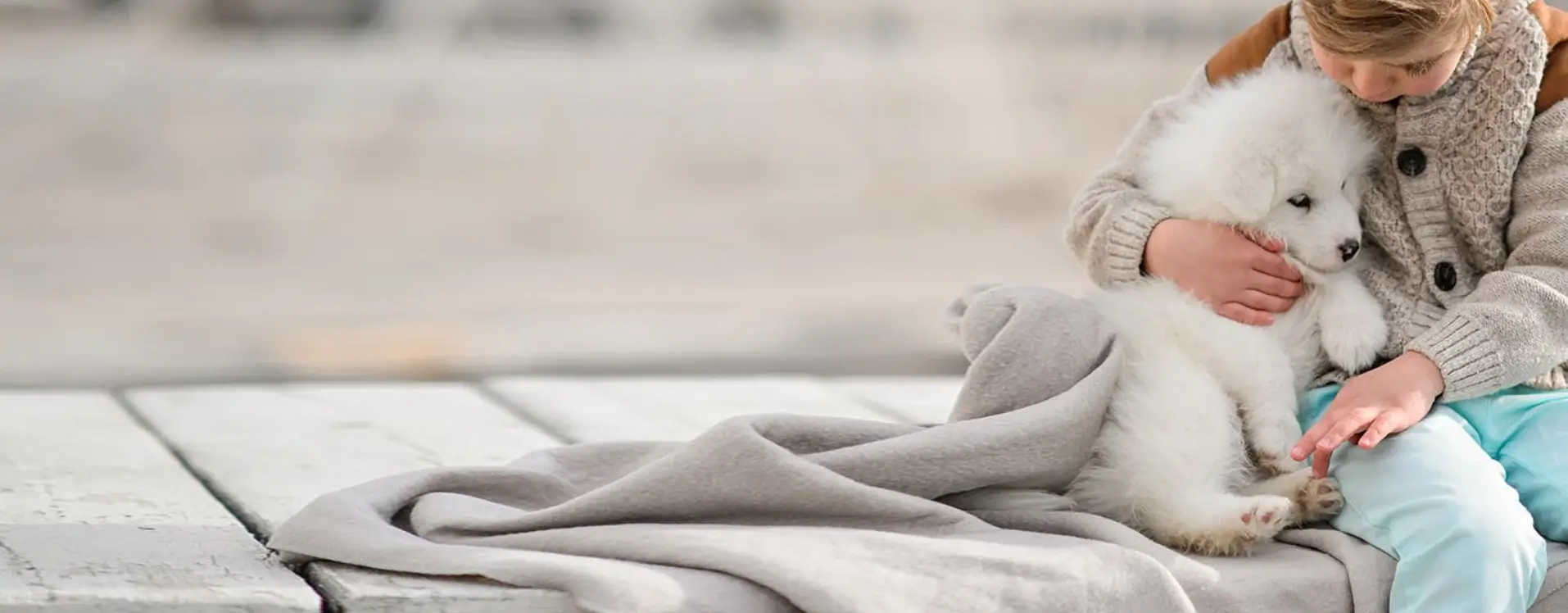 What is a Guardian Home for Dogs?